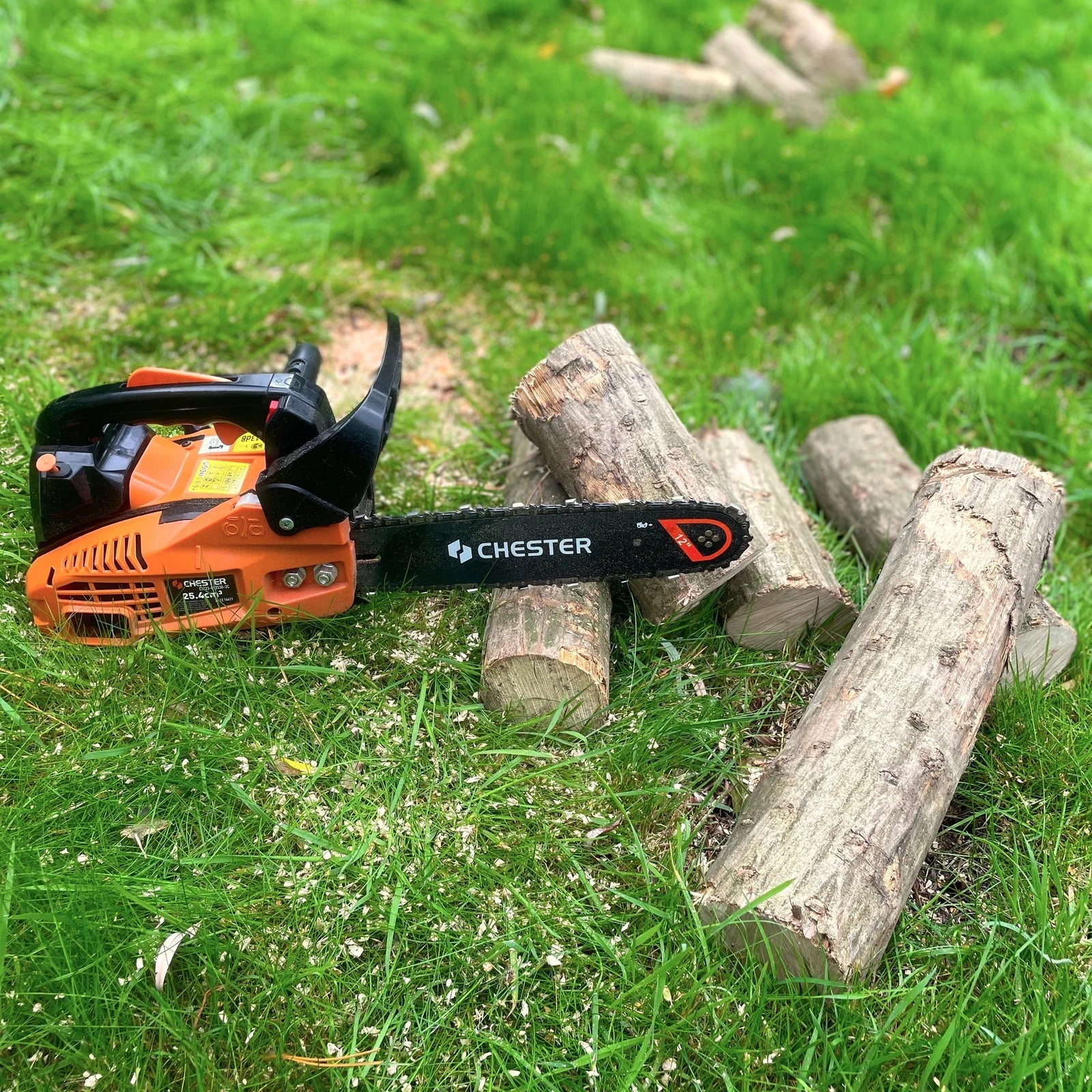 Why this CHESTER petrol pruning chainsaw is the best choice for your g ...