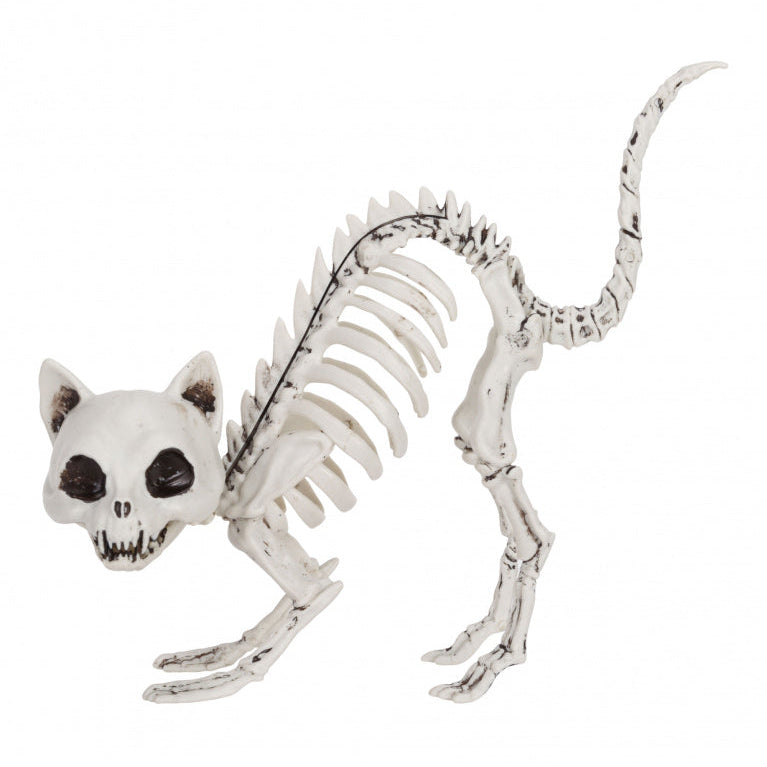 CHAT SQUELETTE NATUREL 19X6XH14CM – ChesterGarden